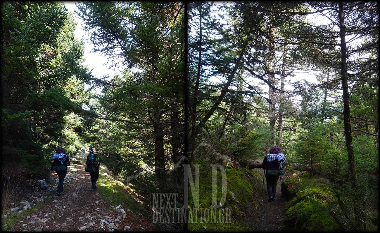 Μαίναλο 6: Μονοπάτι Σφυρίδας • Next Destination
